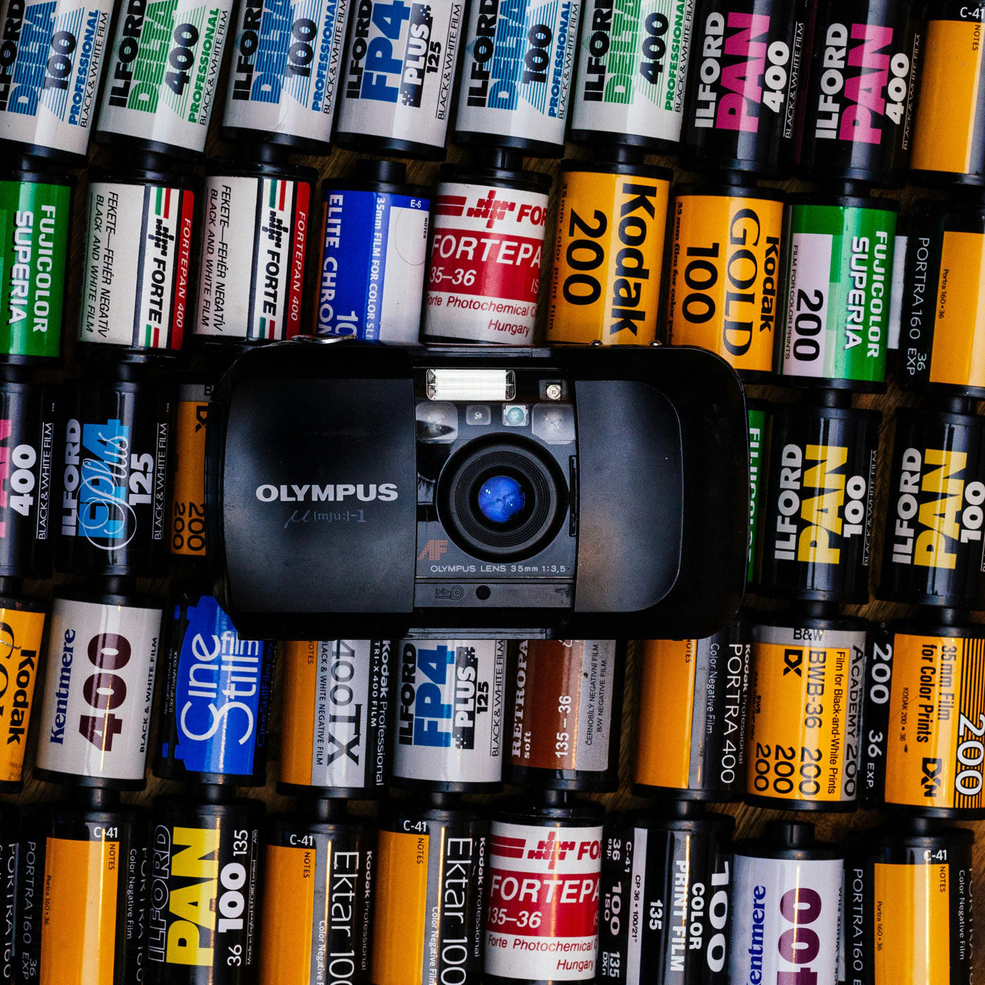 The Film Discovery Club | Monthly 35mm Film Subscription – Looking ...